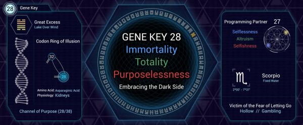 Gene Key 28