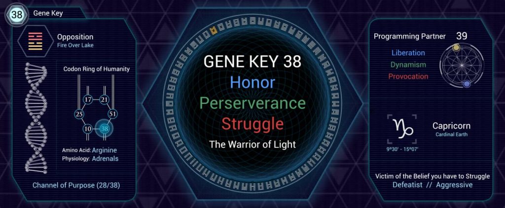 Gene Key 38
