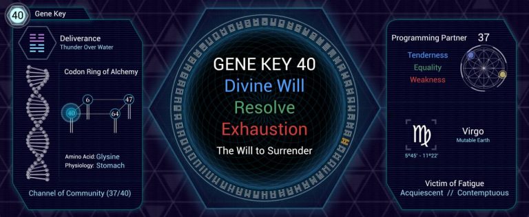 Gene Key 40