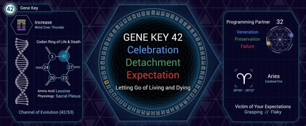 Gene Key 42