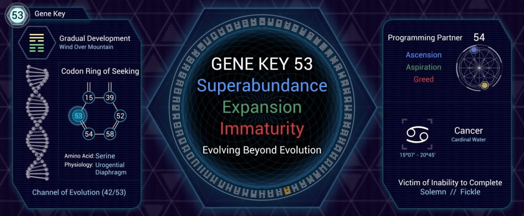 Gene Key 53