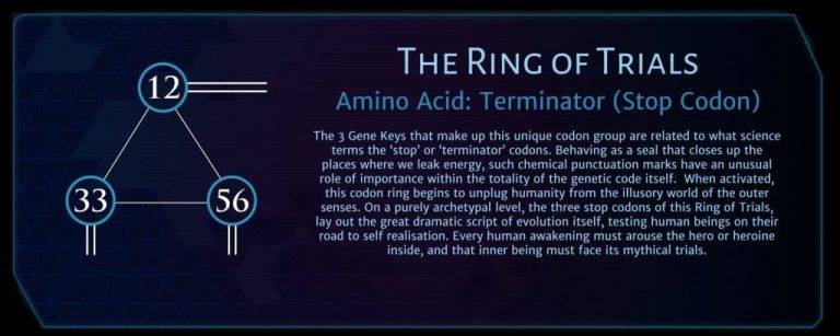 Gene Key 56 - Gene Keys