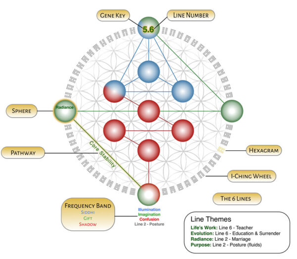 How to read your Profile - Gene Keys