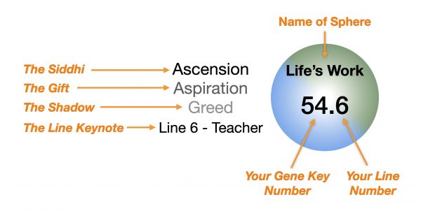 Integrating your Profile - Gene Keys