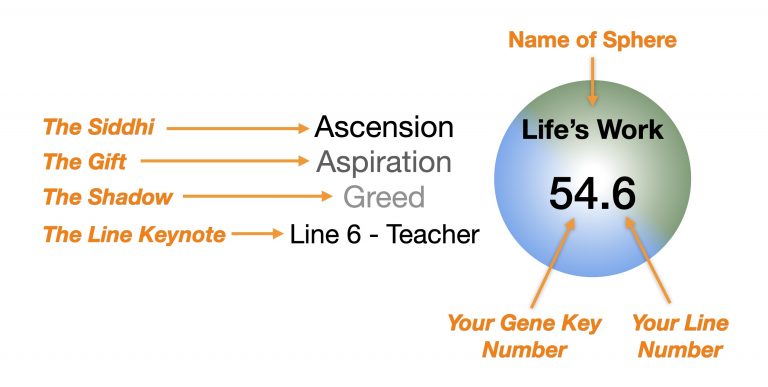 Integrating your Profile - Gene Keys