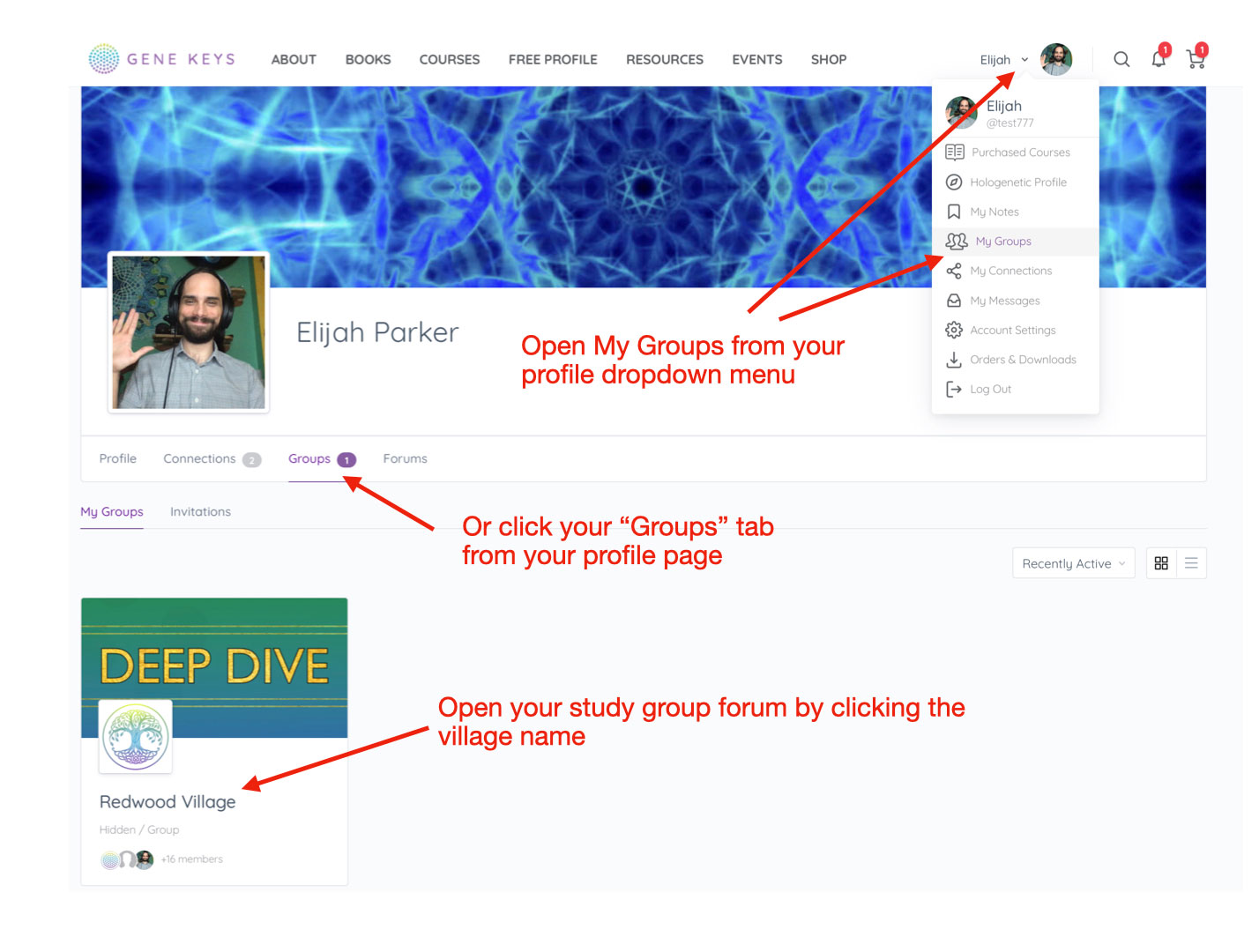 How to find and use My Groups - Gene Keys