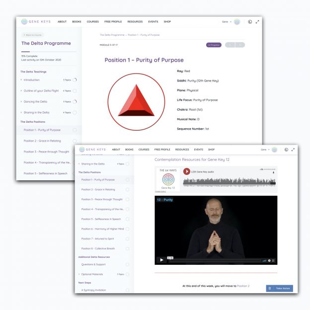 The Delta Programme - Gene Keys