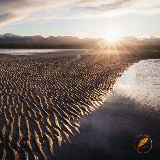 Gene Key 63 – Truth - Gene Keys