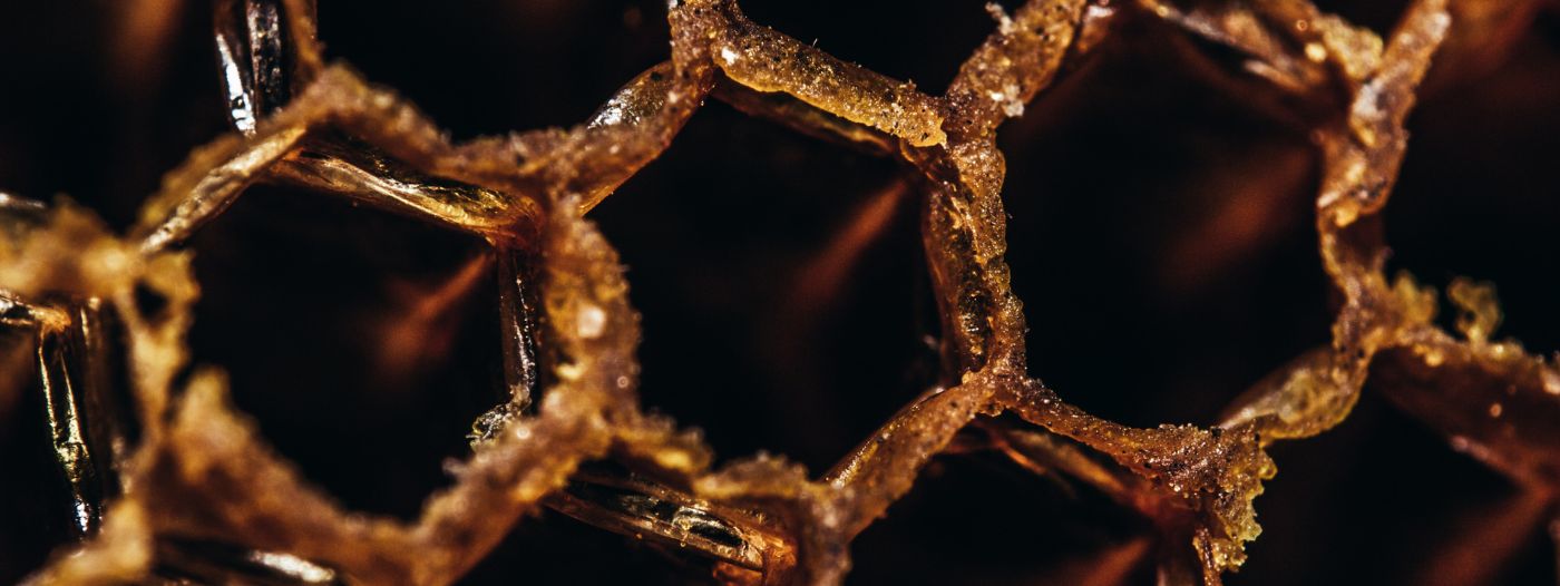 Gene Key 2 – Unity - Gene Keys