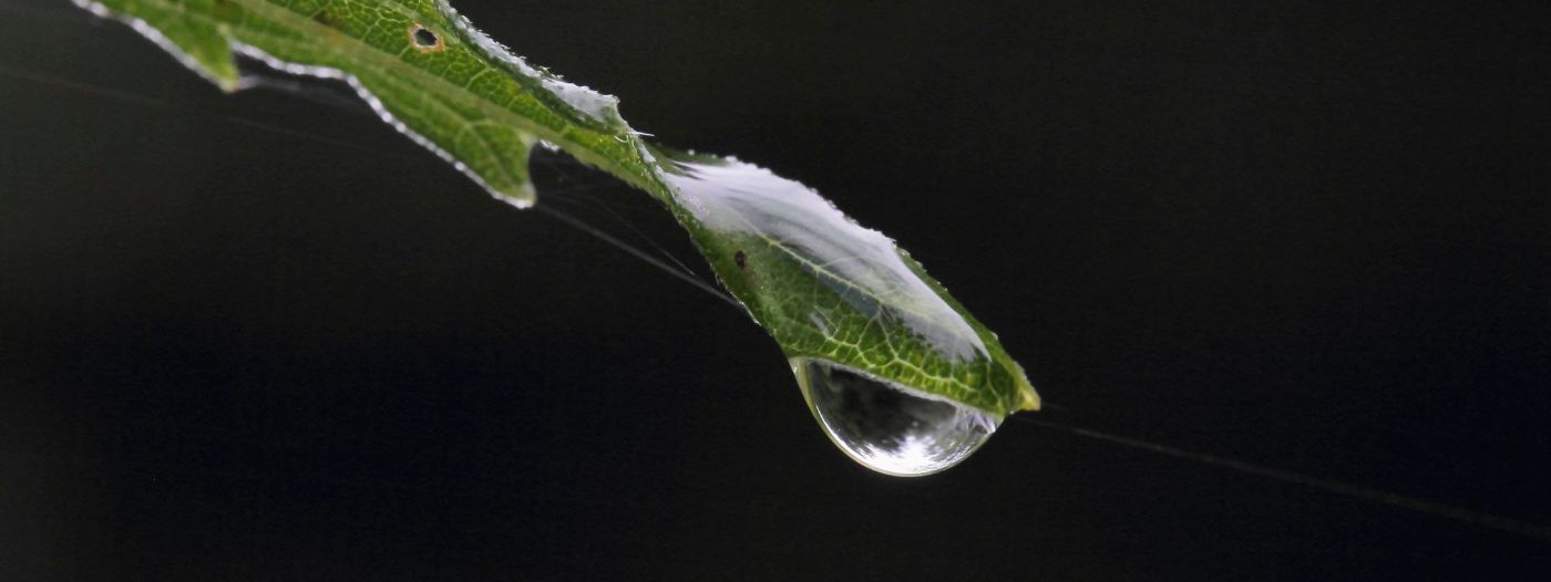 Gene Key 8 – Exquisiteness - Gene Keys