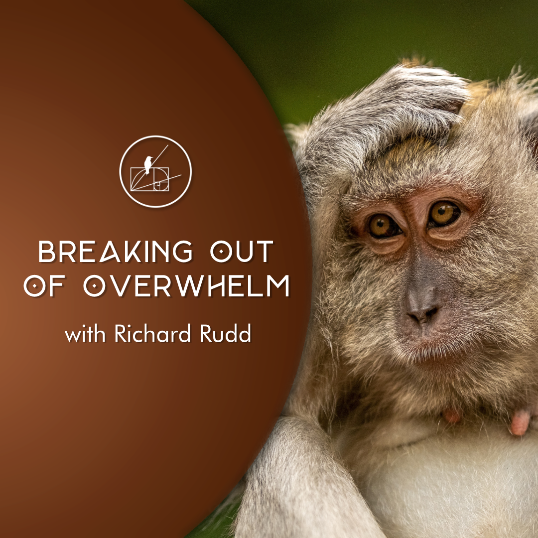 Gene Key 29 – Devotion - Gene Keys