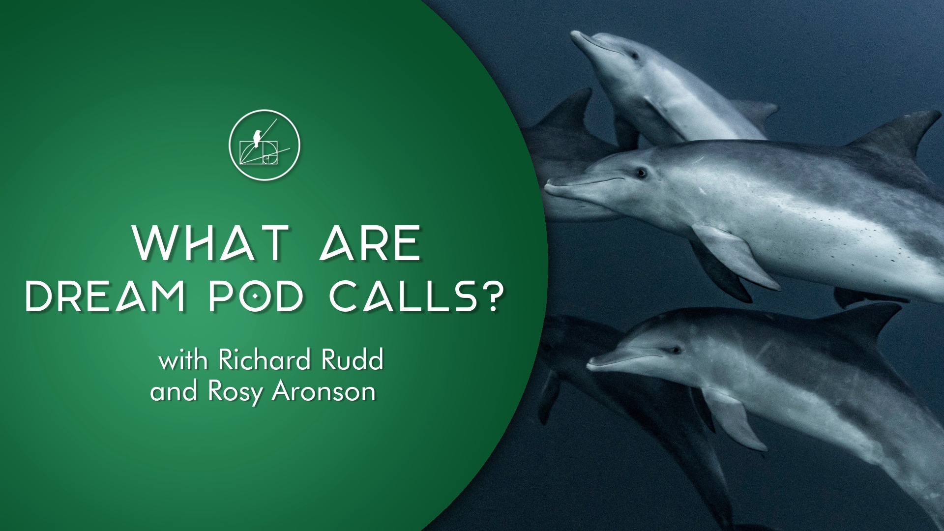 About Dream Pod Calls - Gene Keys