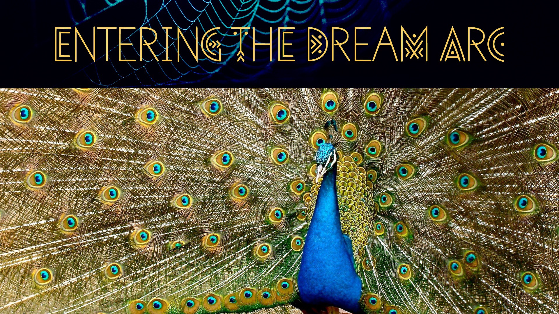 Week 1 – Entering the Dream Arc - Dream Arc Retreat