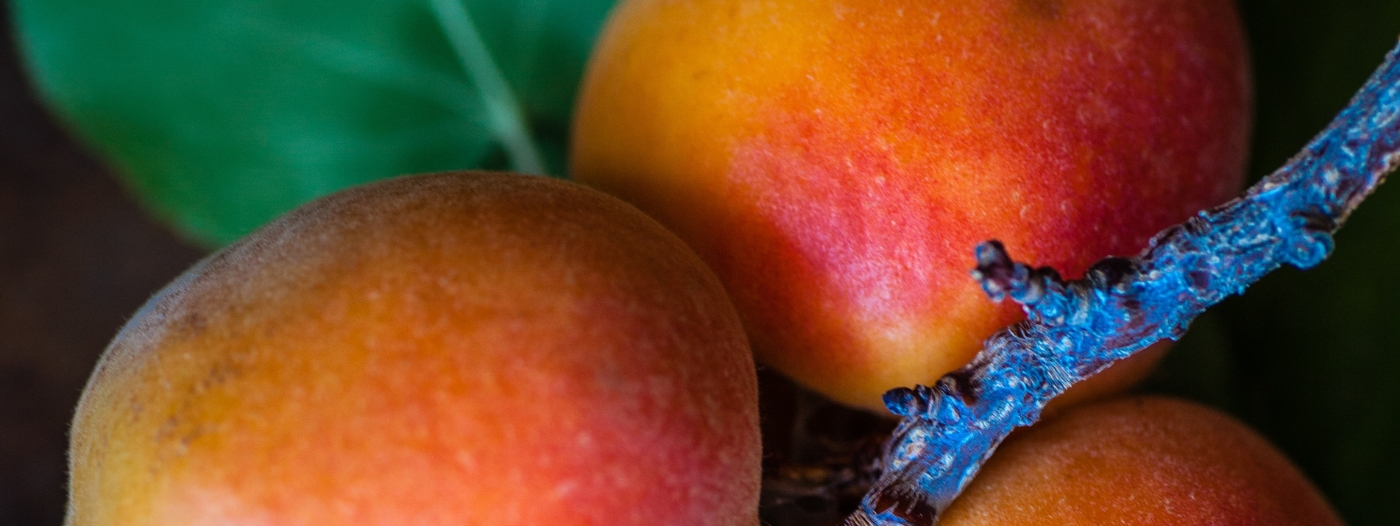 Gene Key 46 – Ecstasy - Gene Keys