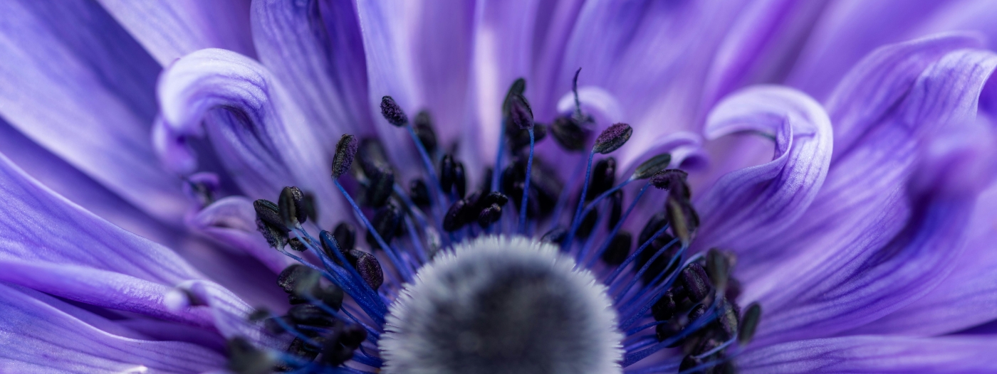 Gene Key 9 – Invincibility - Gene Keys