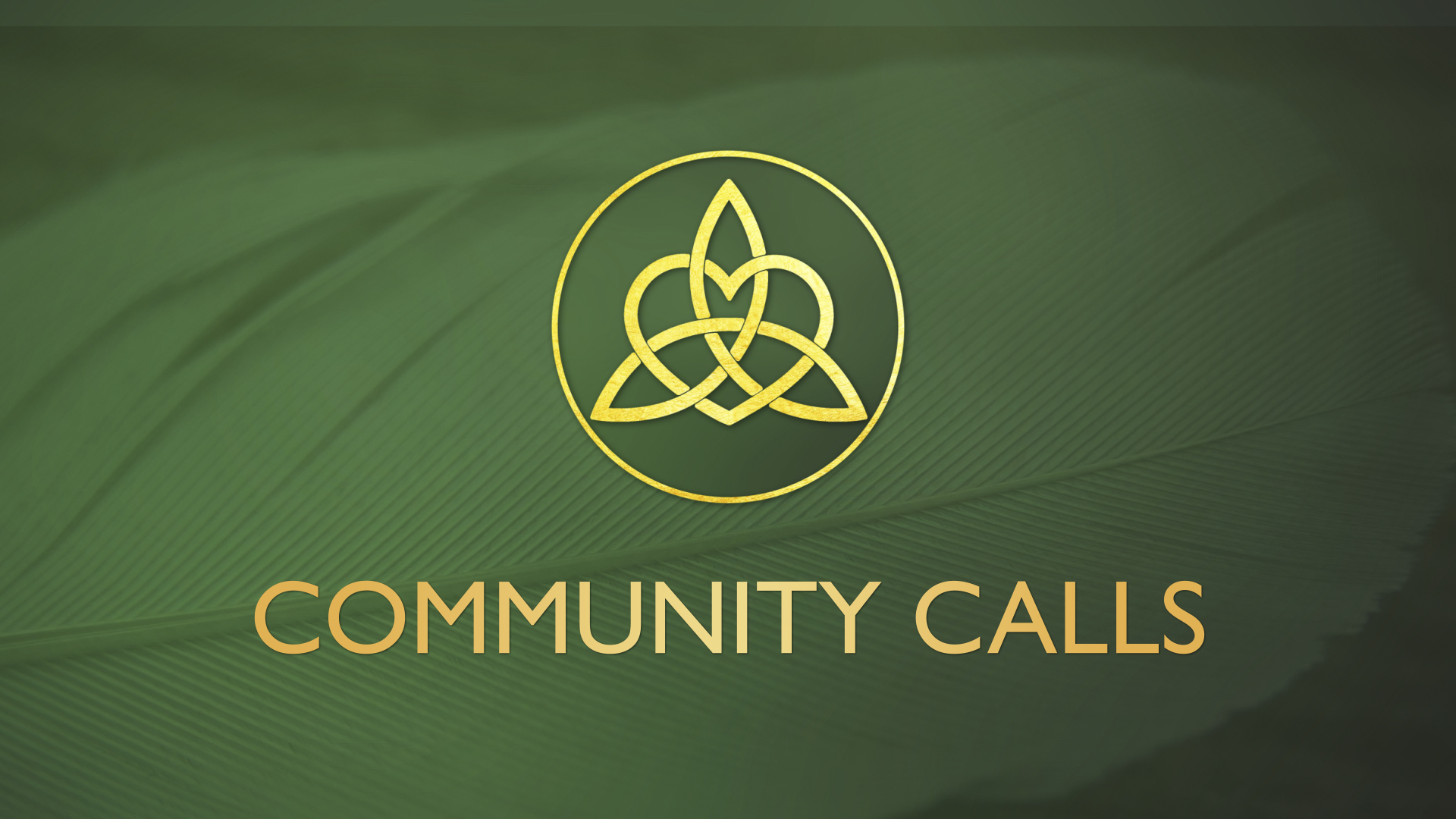 About Community Calls - Activation Retreat