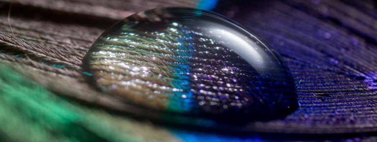 Pulse Gallery - Gene Keys