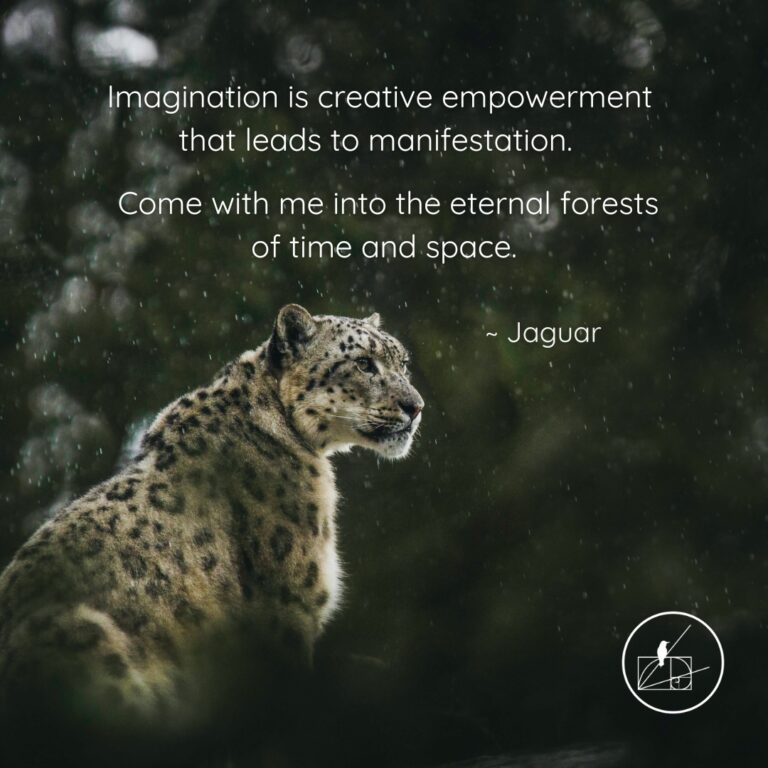 Gene Key 35 – Boundlessness