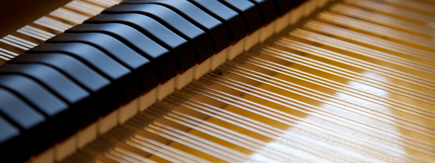 Gene Key 12 – Purity