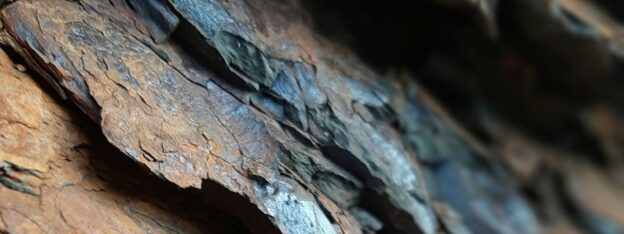 Pulse Gallery - Gene Keys