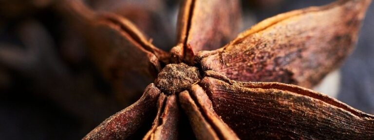 Pulse Gallery - Gene Keys