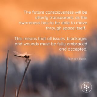 Gene Key 44 – Synarchy