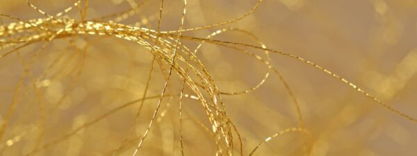 Pulse Gallery - Gene Keys