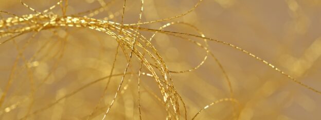 Pulse Gallery - Gene Keys