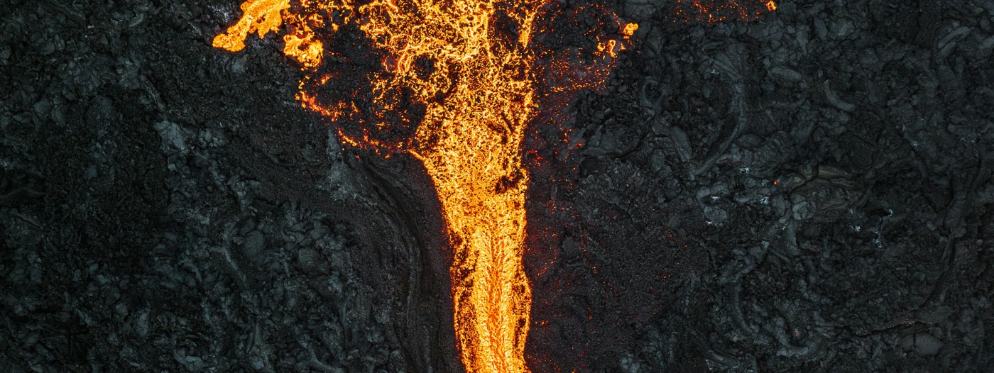 Gene Key 38 – Honour