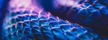 Pulse Gallery - Gene Keys