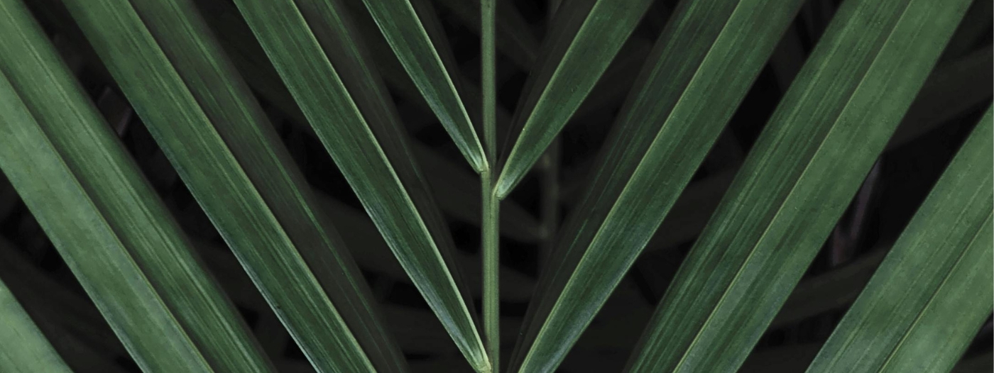 Gene Key 63 – Truth