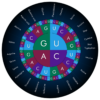 Codon Rings - Gene Keys