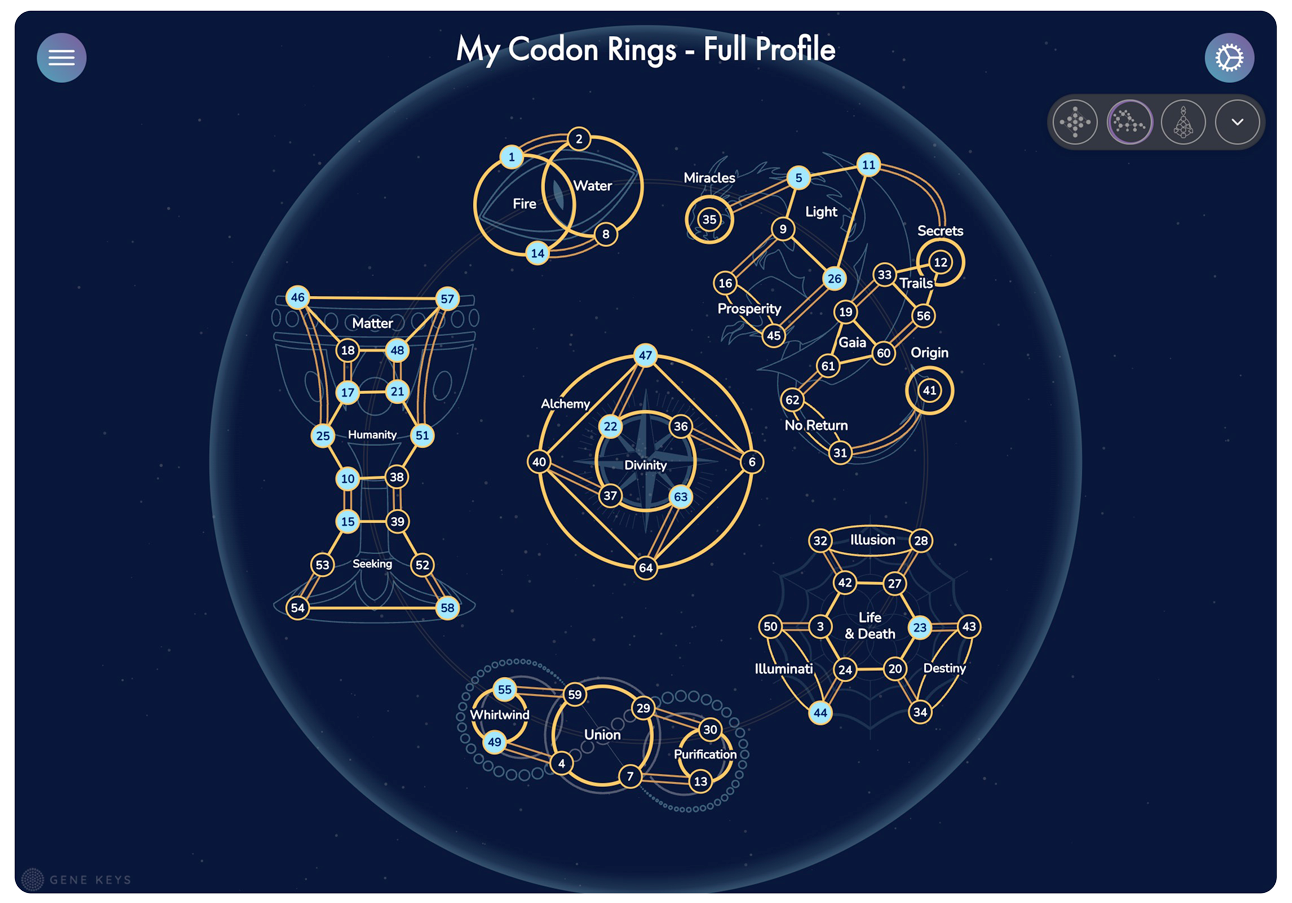 Codon Ring Profile View - Gene Keys
