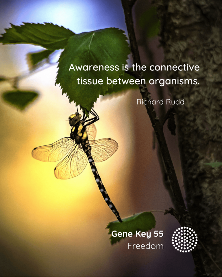 Gene Key 34 – Majesty